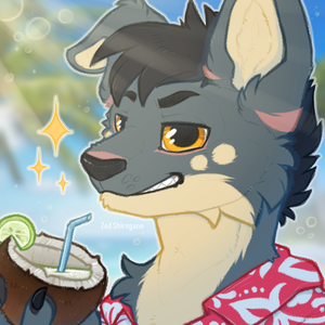 Further Confusion 2026: The Beach Episode